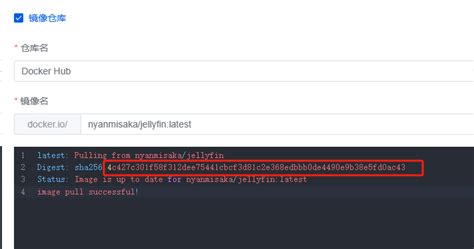 BUG问题在拉取新镜像或者对容器升级时无法拉取最新的镜像 Panel 社区论坛 FIT CLOUD 飞致云