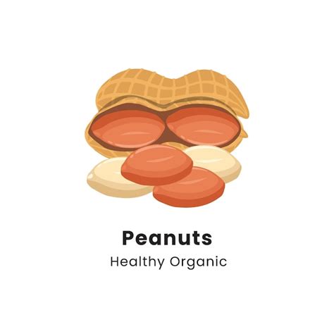 Premium Vector Vector Illustration Of Peanuts On White Background