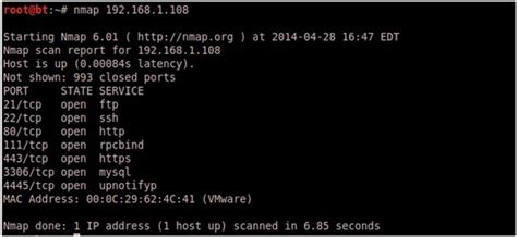 VoIP Penetration Testing Scanning Against VoIP Server