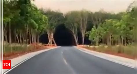 Brain Exercise A Dark Tunnel Or A Green Forest What Did You See Here Times Of India