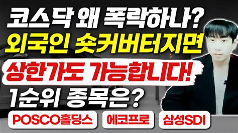 코스닥 왜 폭락하나2차전지 집중분석posco홀딩스lg화학포스코퓨처엠금양에코프로에코프로비엠hlb알테오젠lg전자