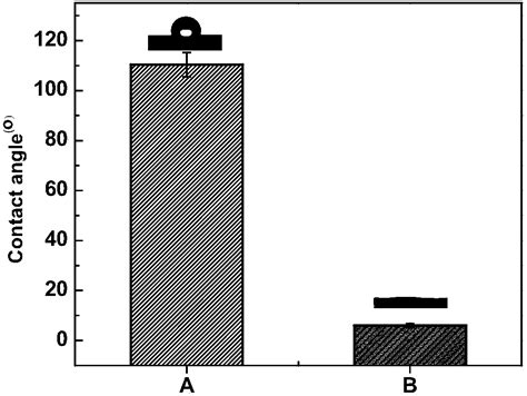 Surface Modification Method For Implant Materials Of Biomedical Active