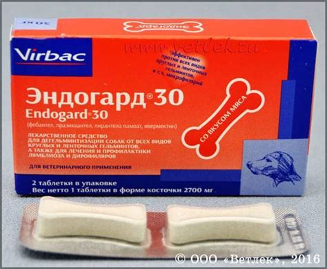 Эндогард для собак: инструкция по применению, цена, отзывы