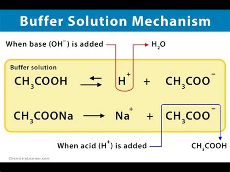 Intro To Buffer Solution Mechanism Of Acidic Buffer YouTube