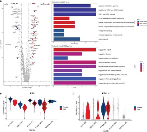 Frontiers Single Cell Rna Sequencing Reveals The Role Of Cell Heterogeneity In The Sex