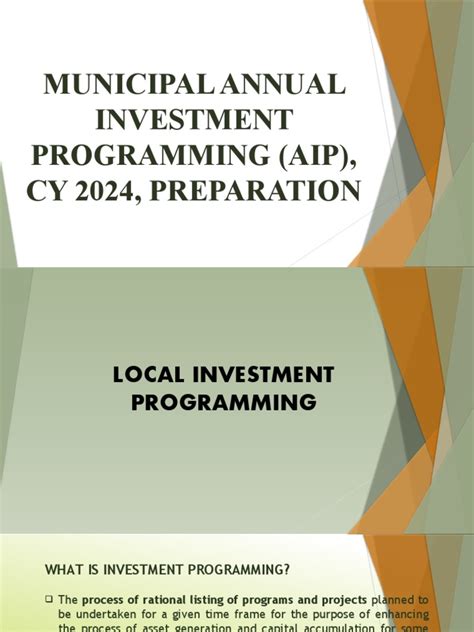 2024 Annual Investment Program Guidelines Pdf Budget Infrastructure