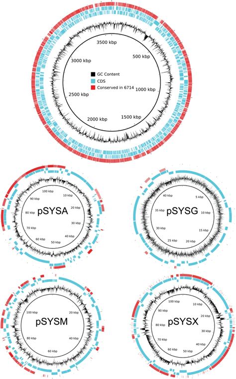 Genome Coverage Based On Circular Genome Plots Of The Synechocystis