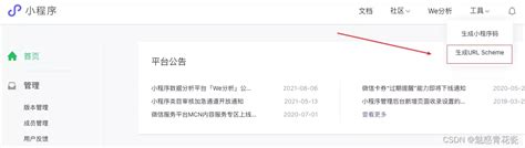 获取小程序 Scheme 码拉起小程序小程序加密url Scheme怎么获取 Csdn博客