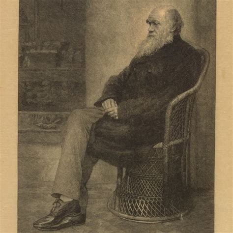 Stream Episode Was Darwin A Murderer By Science History Institute Podcast Listen Online For