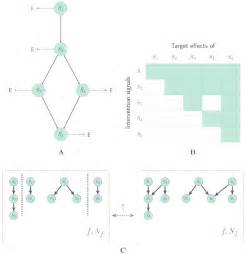 nested effect models and structural features an example of a nem