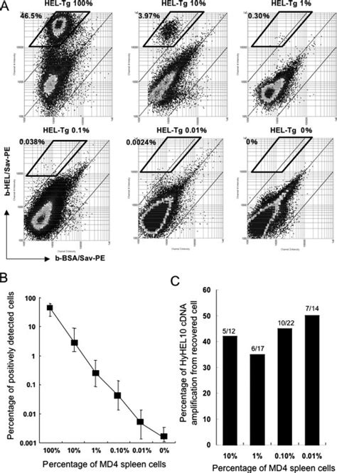 Detection Of Antigen Specific Cells Using Cell Microarray System A