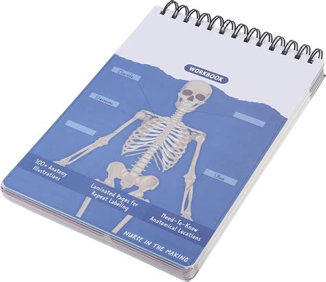 Anatomy Dry Erase Workbook Anatomy Label Lab Workbook Anatomy Terms