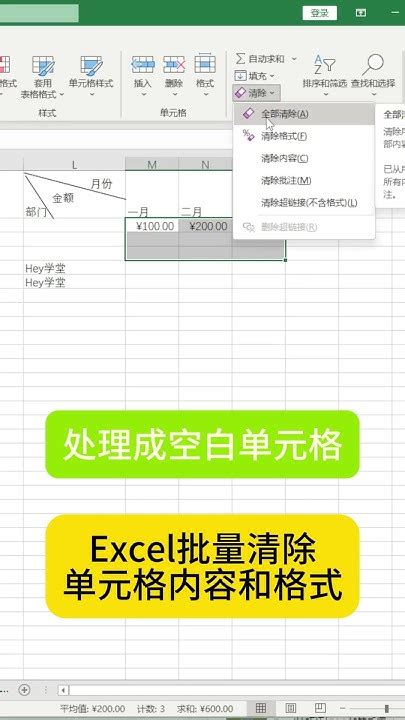 Excel批量清除单元格内容和格式 Exceltips Exceltips Learnexcel Learnexcelfree