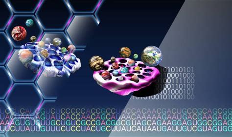 The Force Of Rnascope Finding The Comprehensive Guide In 2023 Xpert Bite The Force Of Rnascope Finding The Comprehensive Guide In 2023 Xpert Bite