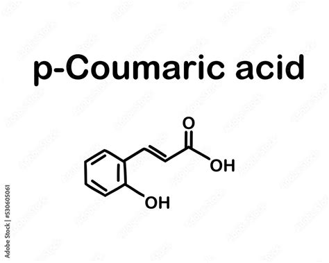Chemical Structure Of P Coumaric Acid Vector Illustration P Coumaric