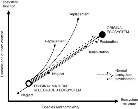 Graphic Representation Of The Structure Function Model Reproduced With