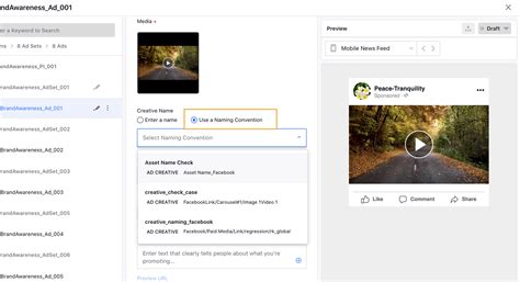 ‎how to apply naming conventions in ads manager sprinklr help center