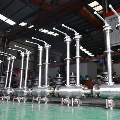 API 6D DBB Ball Valve With Extension Stem F316L DN20 PN100 RF Baltic