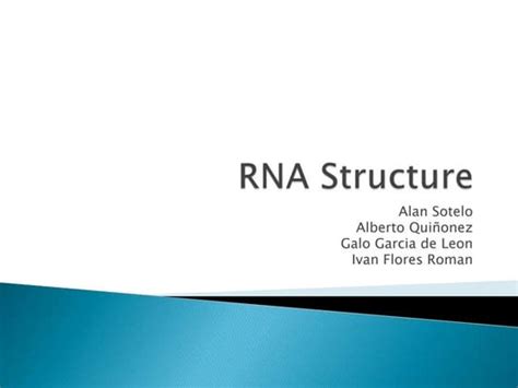 Rna Classthe Classification Of Rna Pdf Rna Classthe Classification Of Rna Pdf