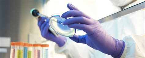 Introduction To Microbiology Testing And Its Importance