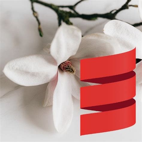 intermediate s guide to derivations in scala using magnolia r scala