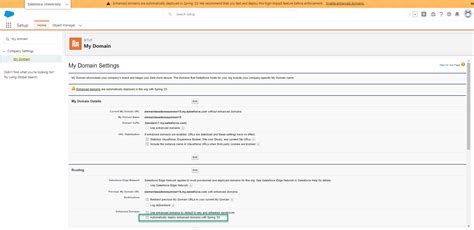 Salesforce Enhanced Domains Requirement Elements