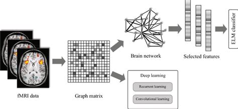 Brain Network Classification Framework Download Scientific Diagram