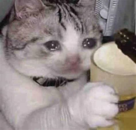 六大超实用的功能网站，各个都能帮你解决一推麻烦事 知乎