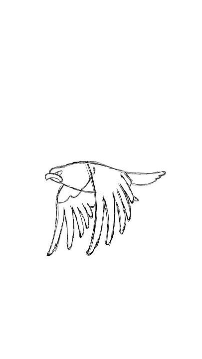 bird fly animation youtube