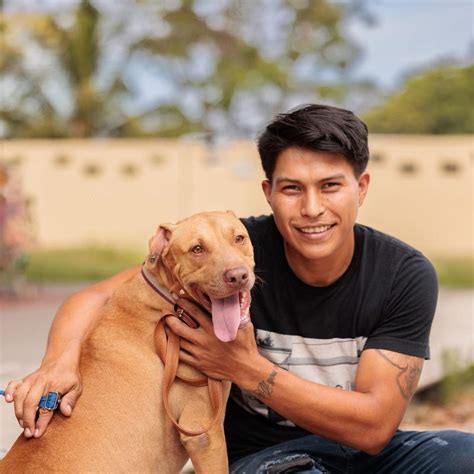 Mindy Dutka On Linkedin In The Care Lies The Cure A Free Sterilization Clinic In Playa Del