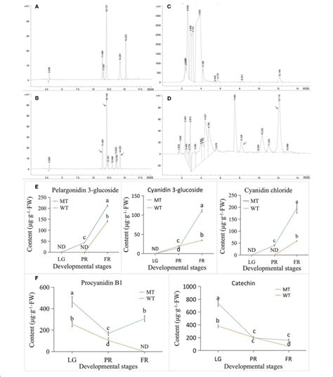 The Hplc Analysis Of Selected Anthocyanins And Pas In Strawberry A