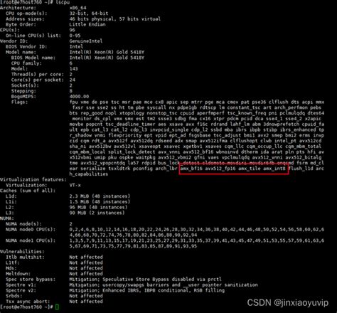 使用oneapi测试 intel cpu和gpu resnet 50v1 5 英特尔® oneapi 黑客松大赛 oneapi检测所有cpu