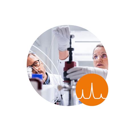 Genovis Antibody Lc Ms Analysis