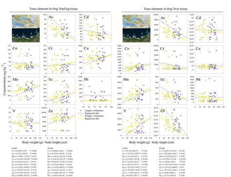 The Relationship Between Size And The Trace Elements Concentrations In