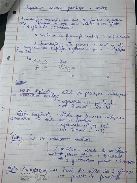 Reprodução Assexuada Meiose E Fecundação Esquemas Biologia Docsity
