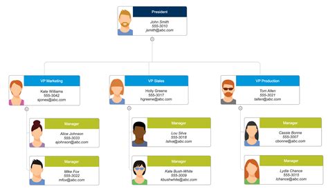 Organization Chart Template