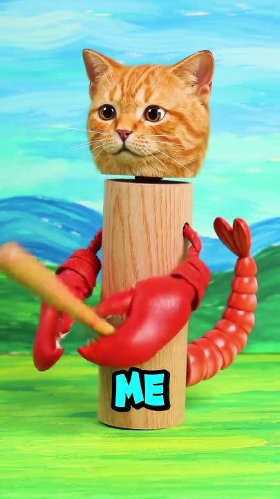 Cut Cate Cursed To Be An Anomaly Italianbrainrot Cutecat Cat Brainrot Tungtungtungsahur