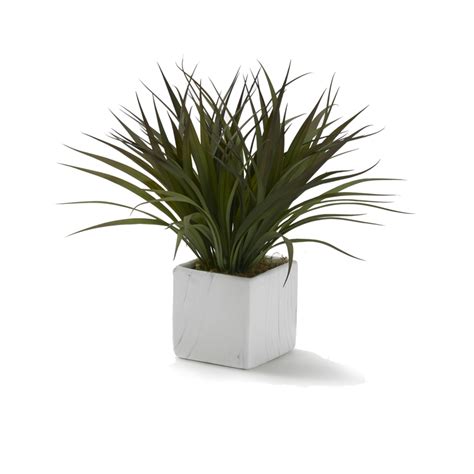 Grass In Small Square Cora Vase 229002dandw Silks