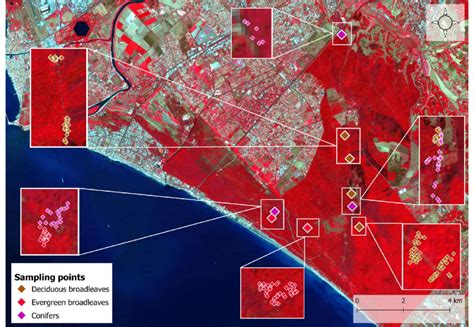 Sampling Points Of The Field Campaign For Lai Measurement The Download Scientific Diagram
