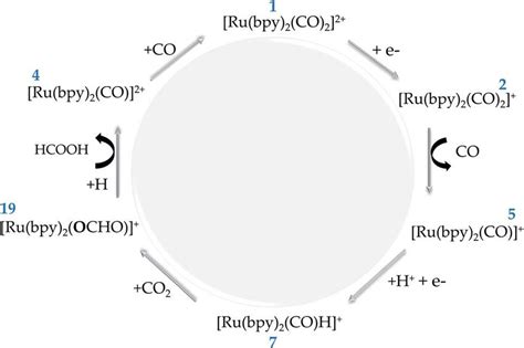 The Electrocatalytic Cycle For Co 2 Conversion Into Formic Acid Hcooh