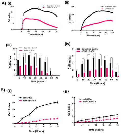 sirna mediated knockdown of hdac6 caused lower cell spreading cell