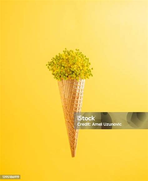 노란색 배경에 섬세한 노란색 꽃이있는 아이스크림 봄 여름 자연 태양 생활 최소한의 개념 0명에 대한 스톡 사진 및 기타 이미지