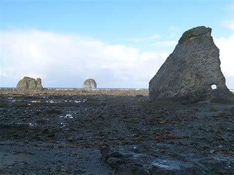 Trail Guide Ozette Triangle Loop In Olympic National Park