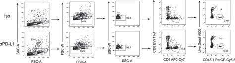 Flow Gating Scheme For Sorting Plots Show The Successive Gating Scheme Download Scientific