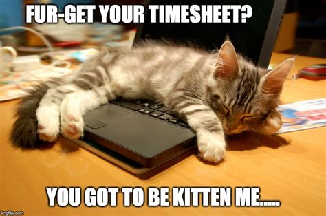 5 Easy And Effective Ways To Automate Your Timesheet Reminders