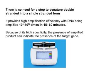 Loop Mediated Isothermal Amplification PPTX