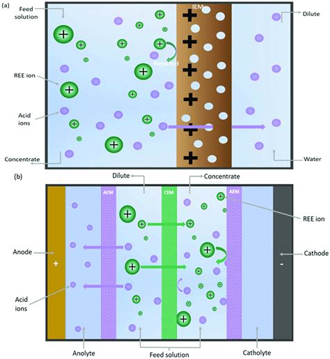 Schematic Of A Diffusion Dialysis And B Electrodialysis Cell Download Scientific Diagram