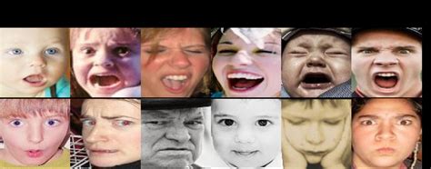 Samples From Raf Db Dataset 3 High Inter Class Similarity Different Download Scientific