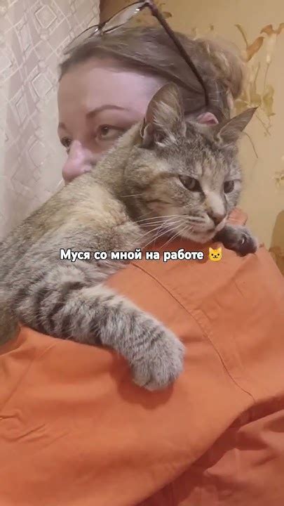Когда Работаешь Удаленно Дома 🐱 Youtube