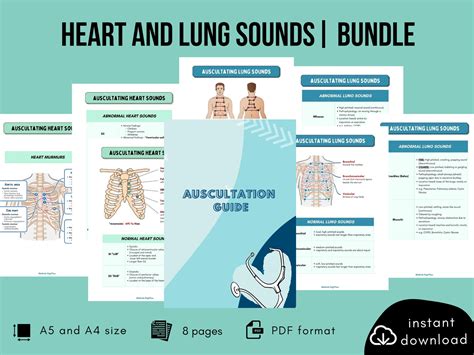 Heart And Lung Sounds Cheat Sheet Auscultation Guide Pdf Digital Download Etsy